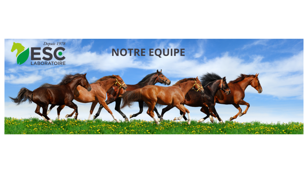 team - ESC Laboratory