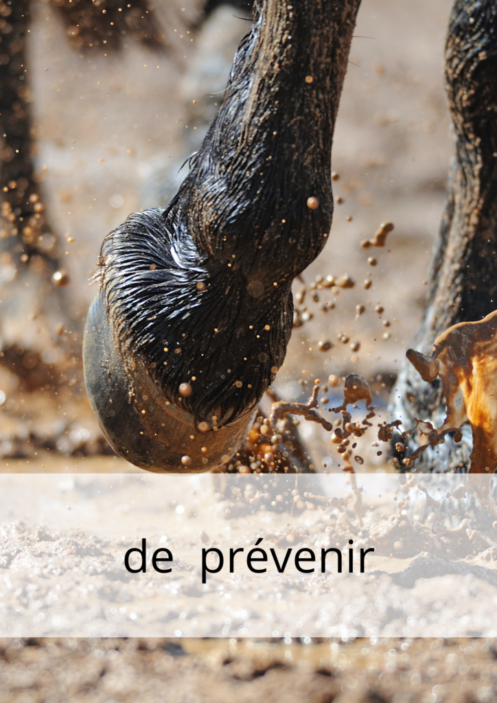 Copy of Reward (2) - ESC Laboratory