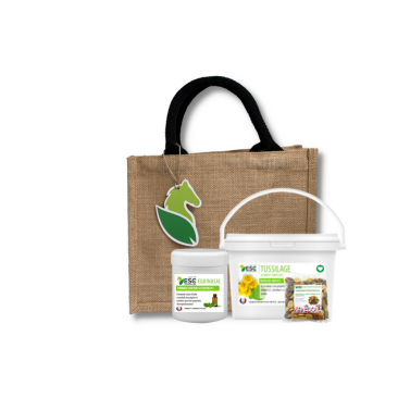 box June - ESC Laboratory