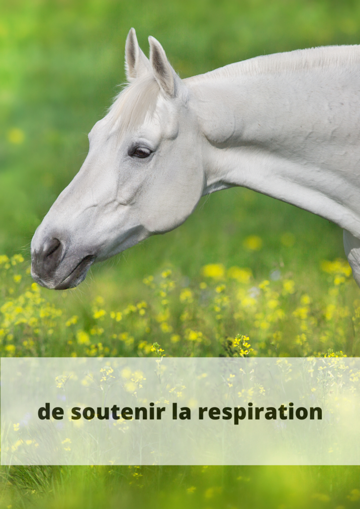 Tussilage - ESC Laboratory