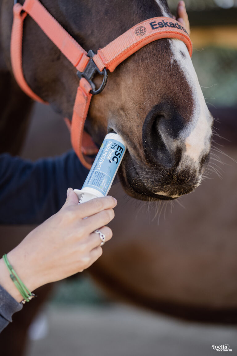 Produits soins naturels chevaux & Phytothérapie - ESC Laboratoire